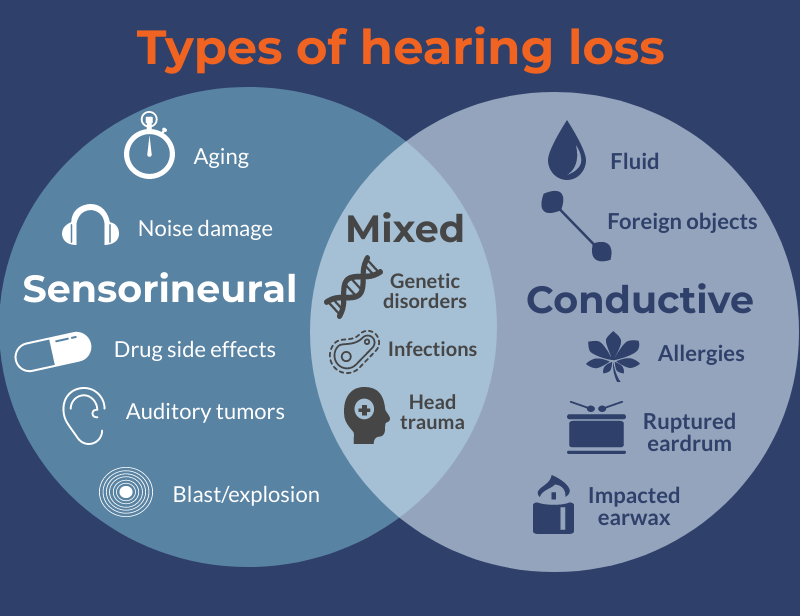Hearing Loss – Digital Ears | Hearing Aid Shop